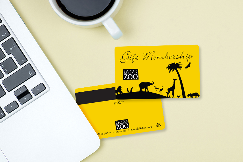 Zoo Marketing - Zoo Pass, Zoo Membership Cards, & More